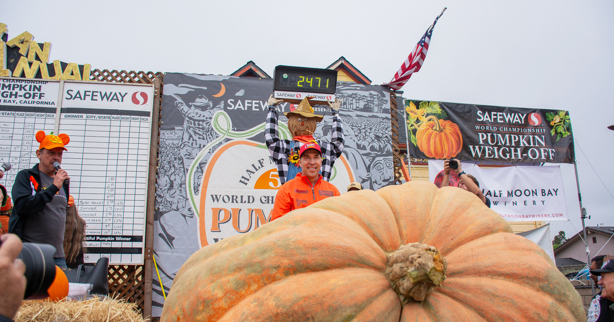 Heavier or Lighter: The Great Pumpkin Game - KCBI