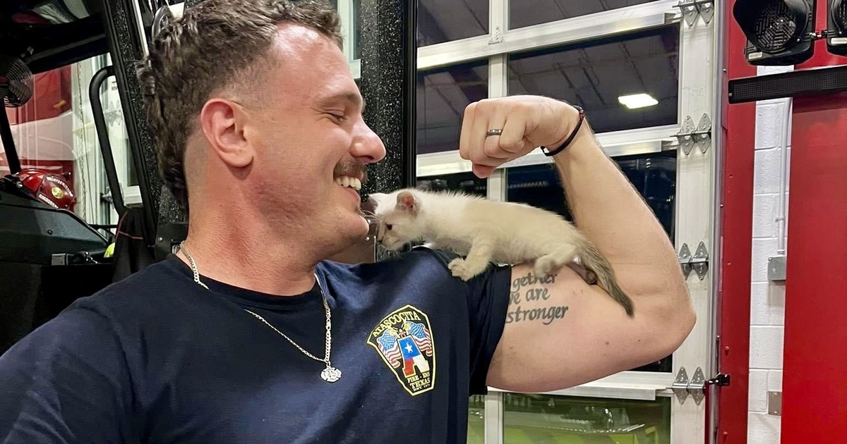 The Cat Distribution System Is At Work In Atascocita, TX - KCBI