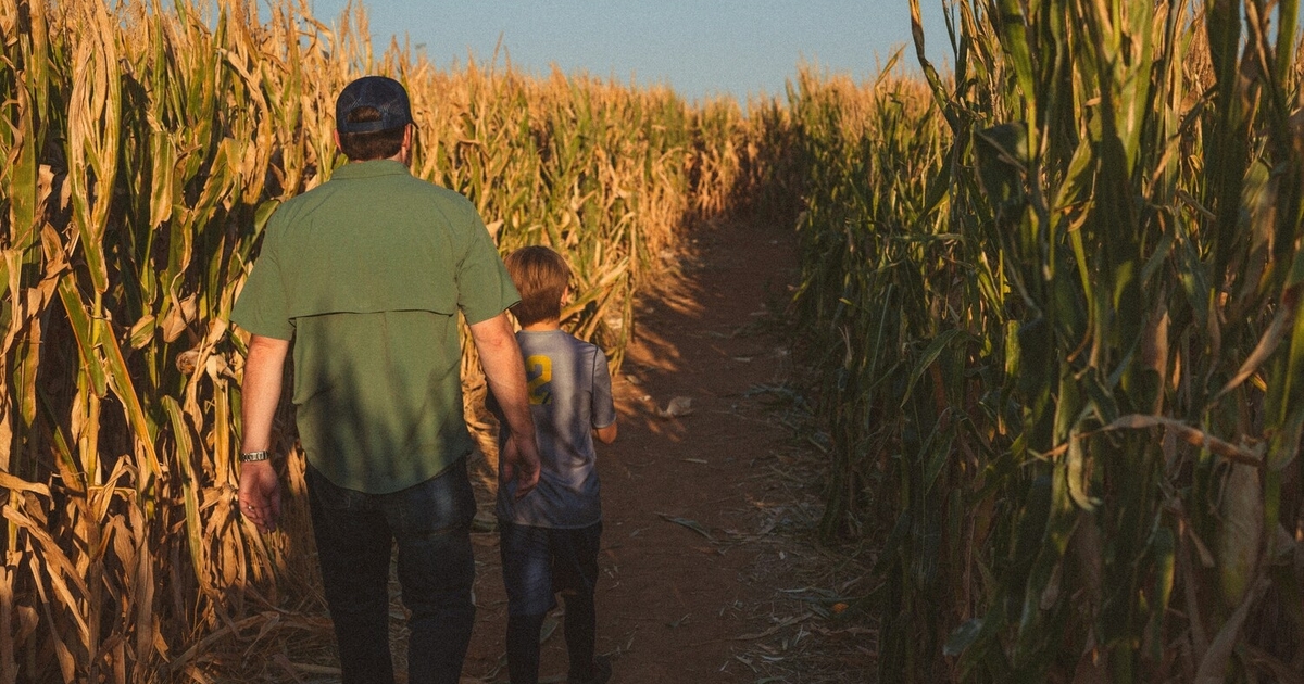 This Texas Corn Maze Is Technically Not Made Of Corn! - KCBI