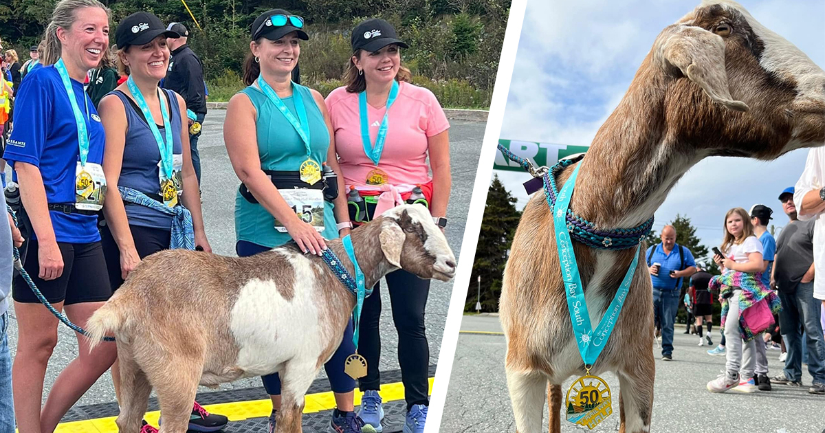 Joshua Is Literally the “GOAT” of a Marathon - KCBI
